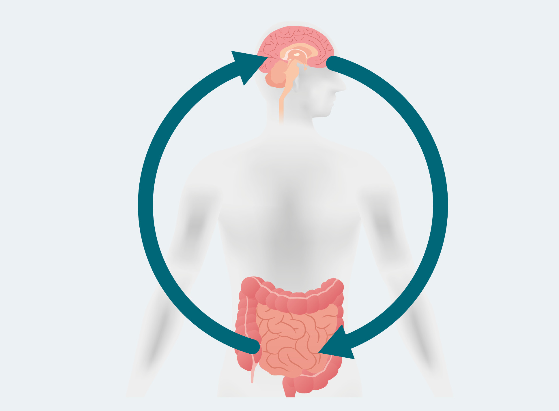 Kako disbioza vpliva na naš spomin? » Zazdravje.net