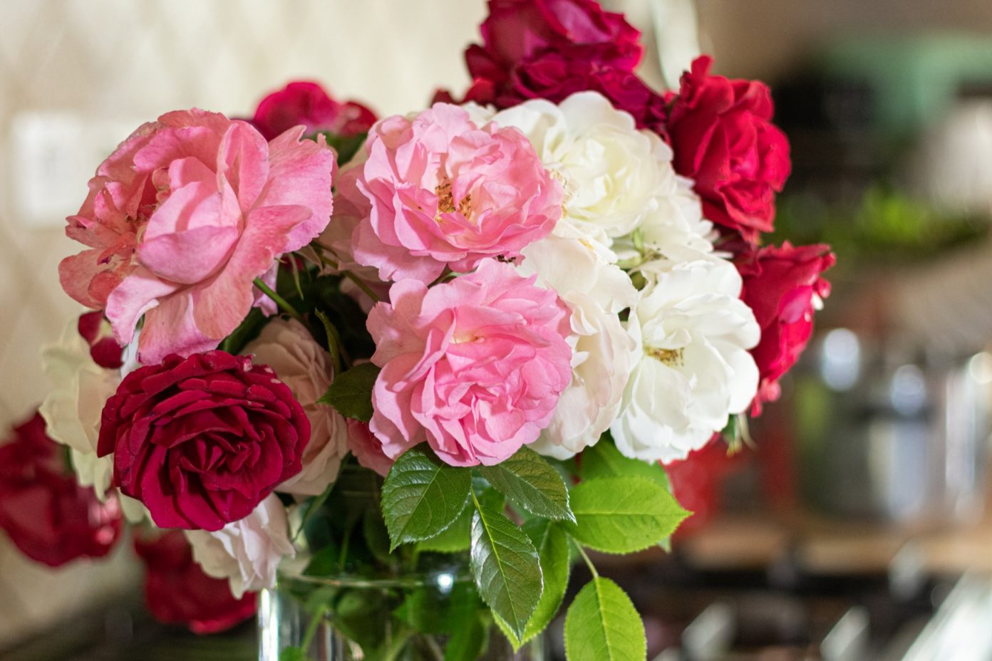 Vrtnice – pomladno darilo za dušo in telo » Zazdravje.net